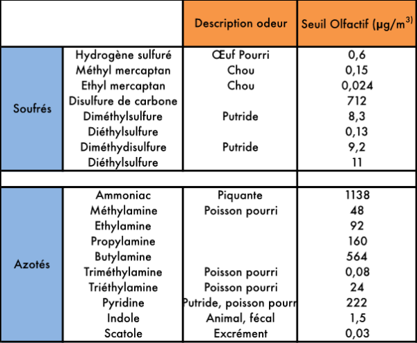 Les odeurs : définition, perception, origines et nature - Overlab